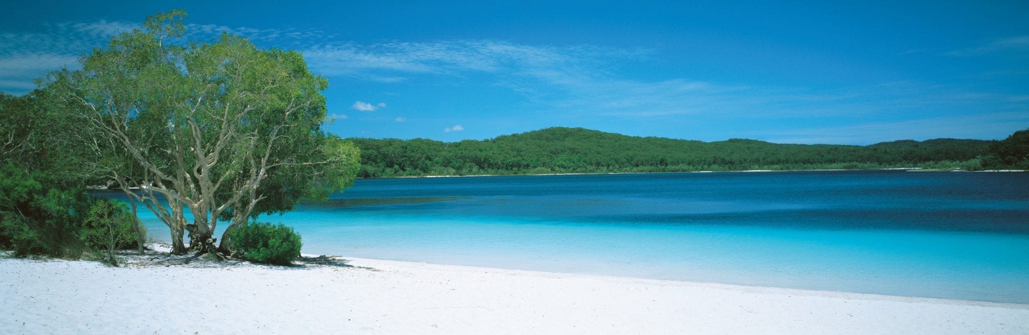 Ranger of the month – National Parks Association of Queensland