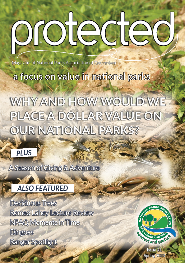 Protected Magazine – National Parks Association of Queensland
