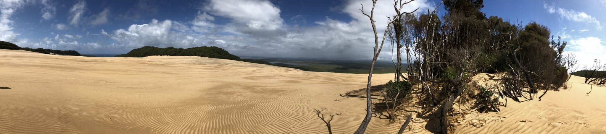 Cooloola Great Walk, Great Sandy National Park – National Parks ...