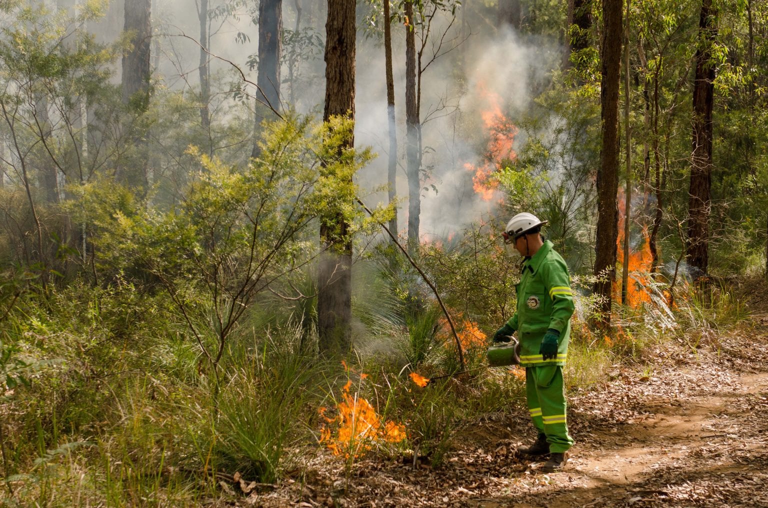 Fire Management a Top Priority for QPWS Rangers – National Parks ...