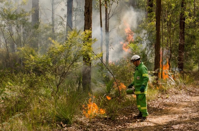 Fire Management a Top Priority for QPWS Rangers – National Parks ...
