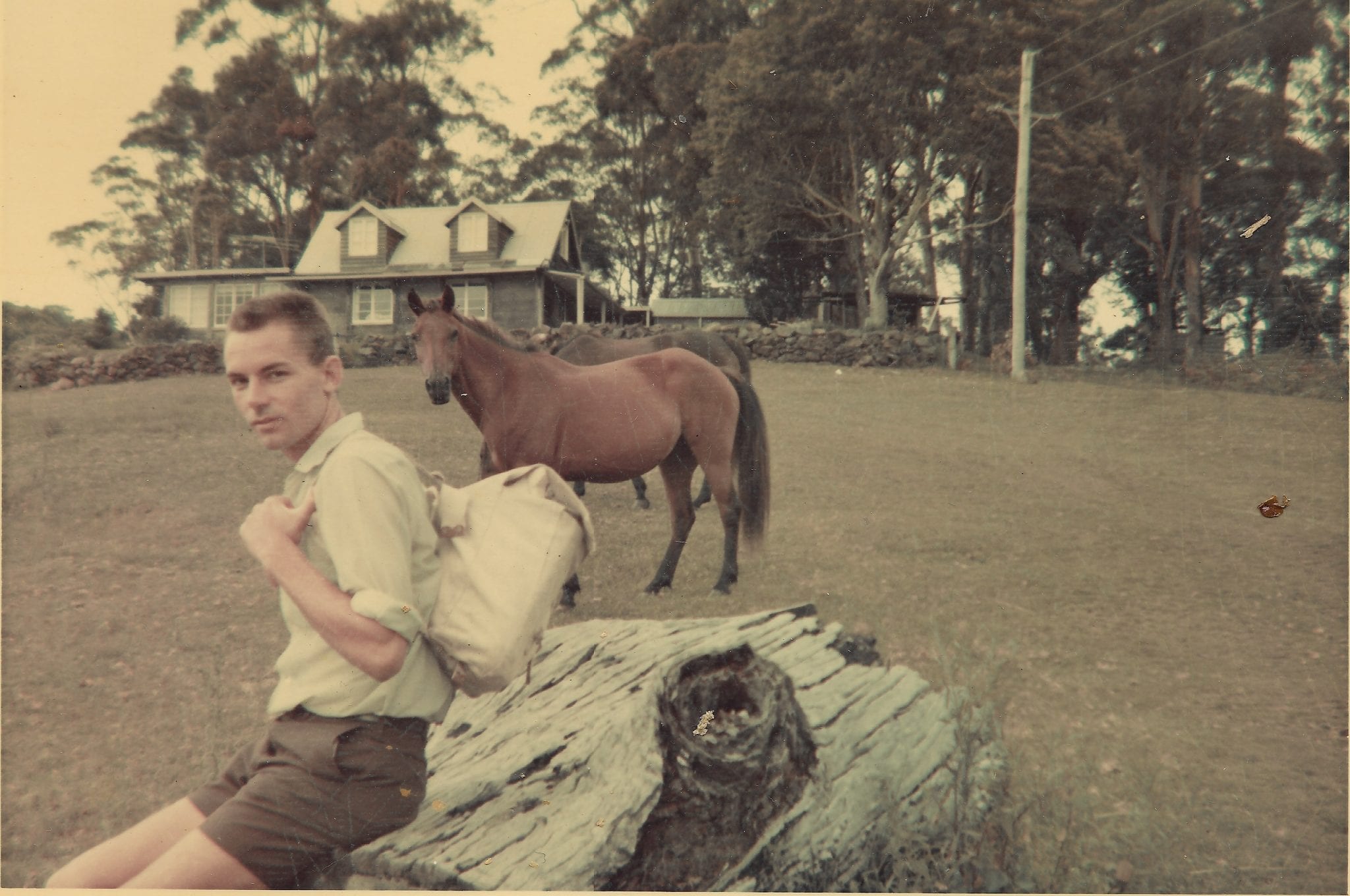 Words from our Members, on NPAQ’s 90th Anniversary – National Parks ...
