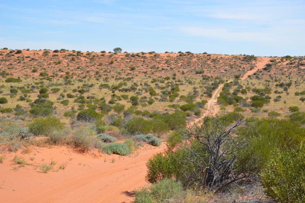 Travelling_the_French_Line_in_the_Simpson_Desert_Regional_Reserve ...