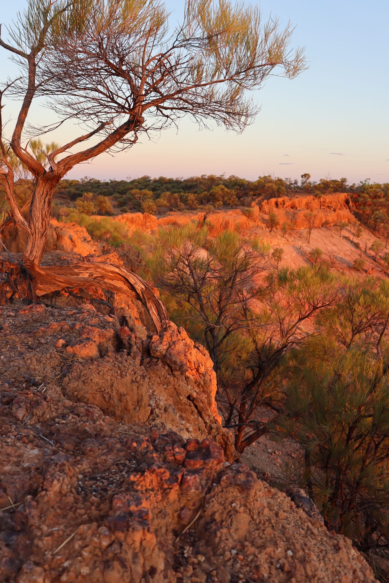 Queensland’s First Special Wildlife Reserve Declared – National Parks ...