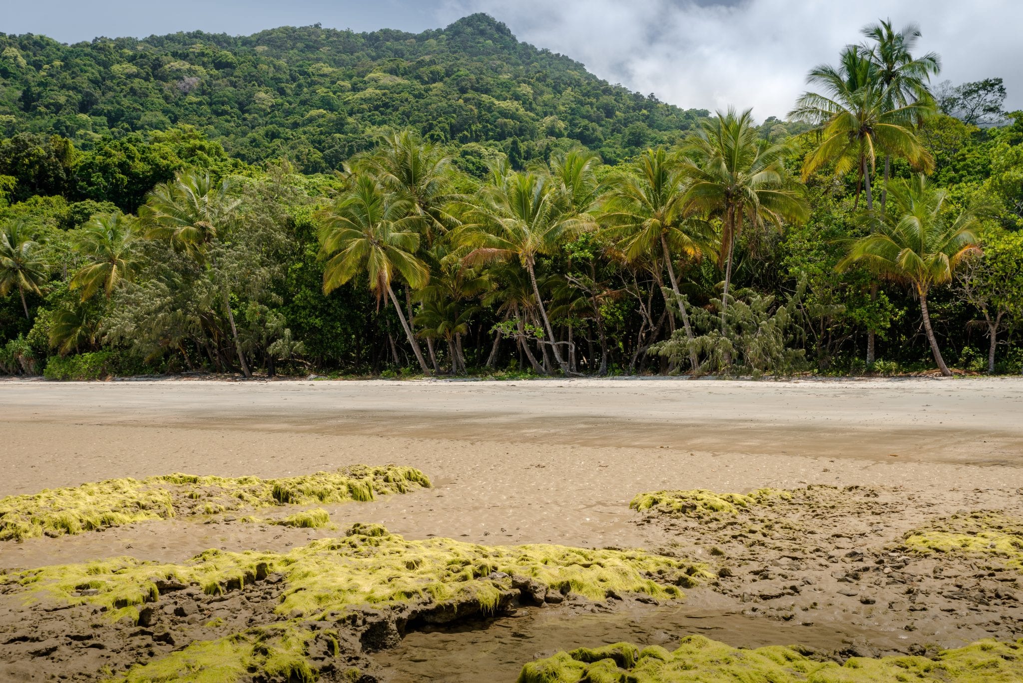 Queensland’s National Parks: An Economically Important Tourism Resource ...