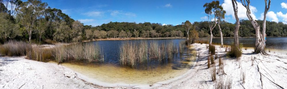 Current Issues Archive - National Parks Association of Queensland