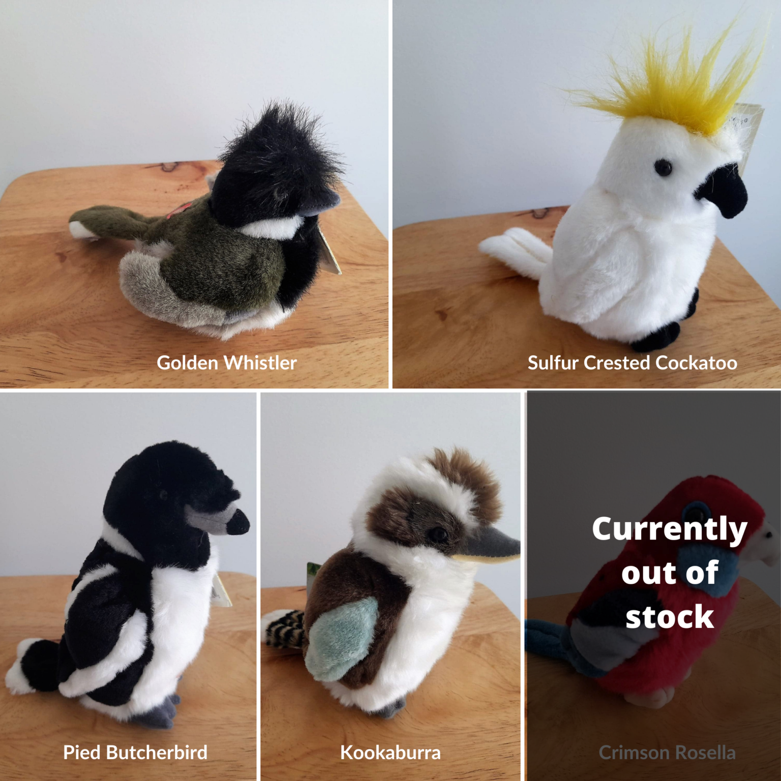 bird plushies (2) – National Parks Association of Queensland