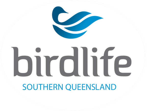 birdlife logo – National Parks Association of Queensland