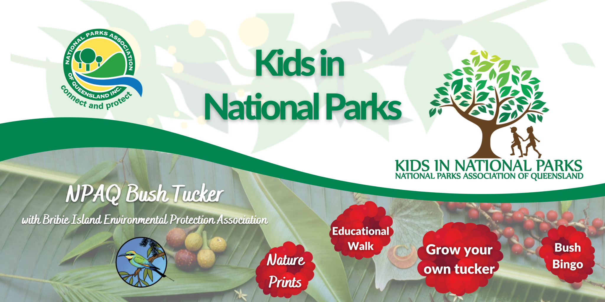 bush tucker Banner V2 – National Parks Association of Queensland