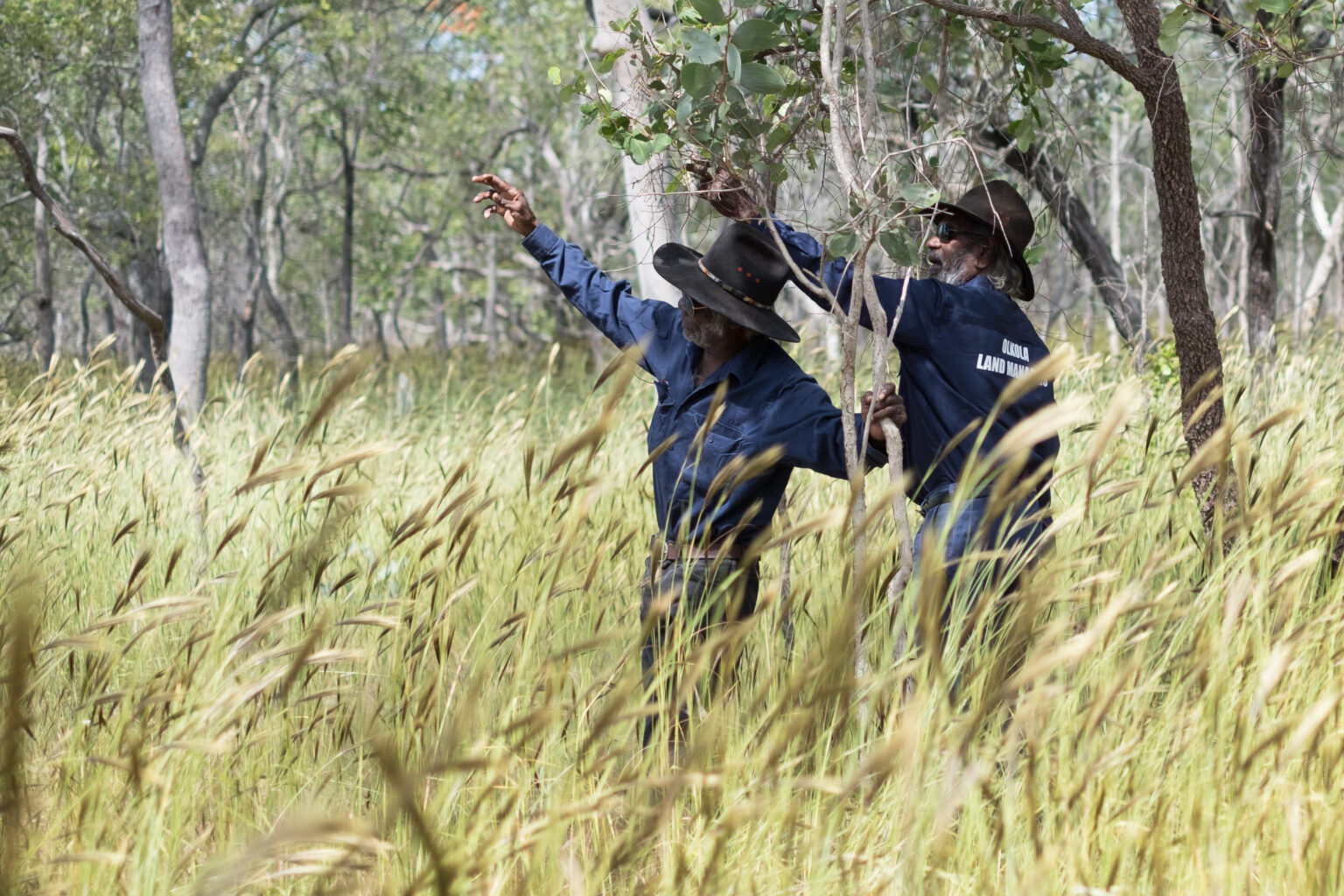 Land and Sea Ranger Program – National Parks Association of Queensland