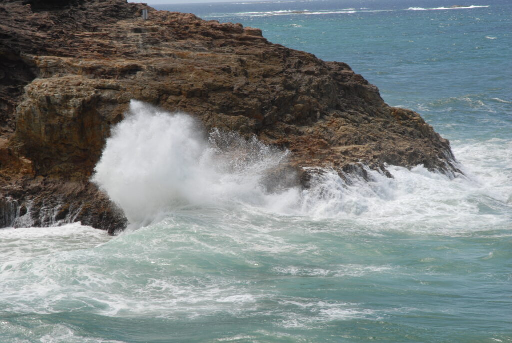 Park in Focus – Maree Budjong Djara National Park – National Parks ...