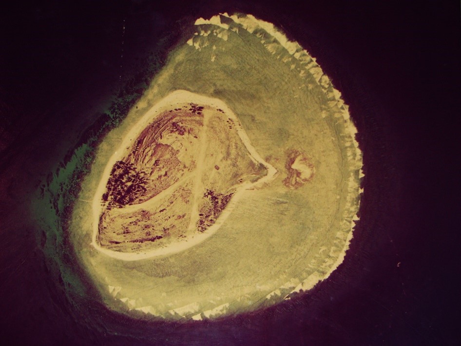Lady Elliot Island: An Example of Effective Habitat Restoration ...