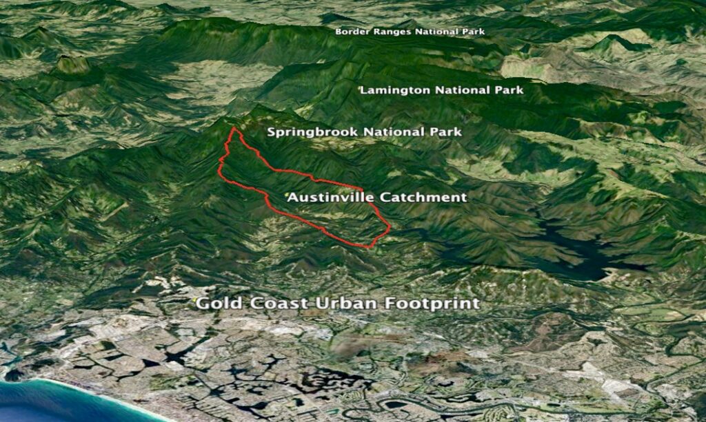 Austinville Landcare & Springbrook National Park – National Parks ...
