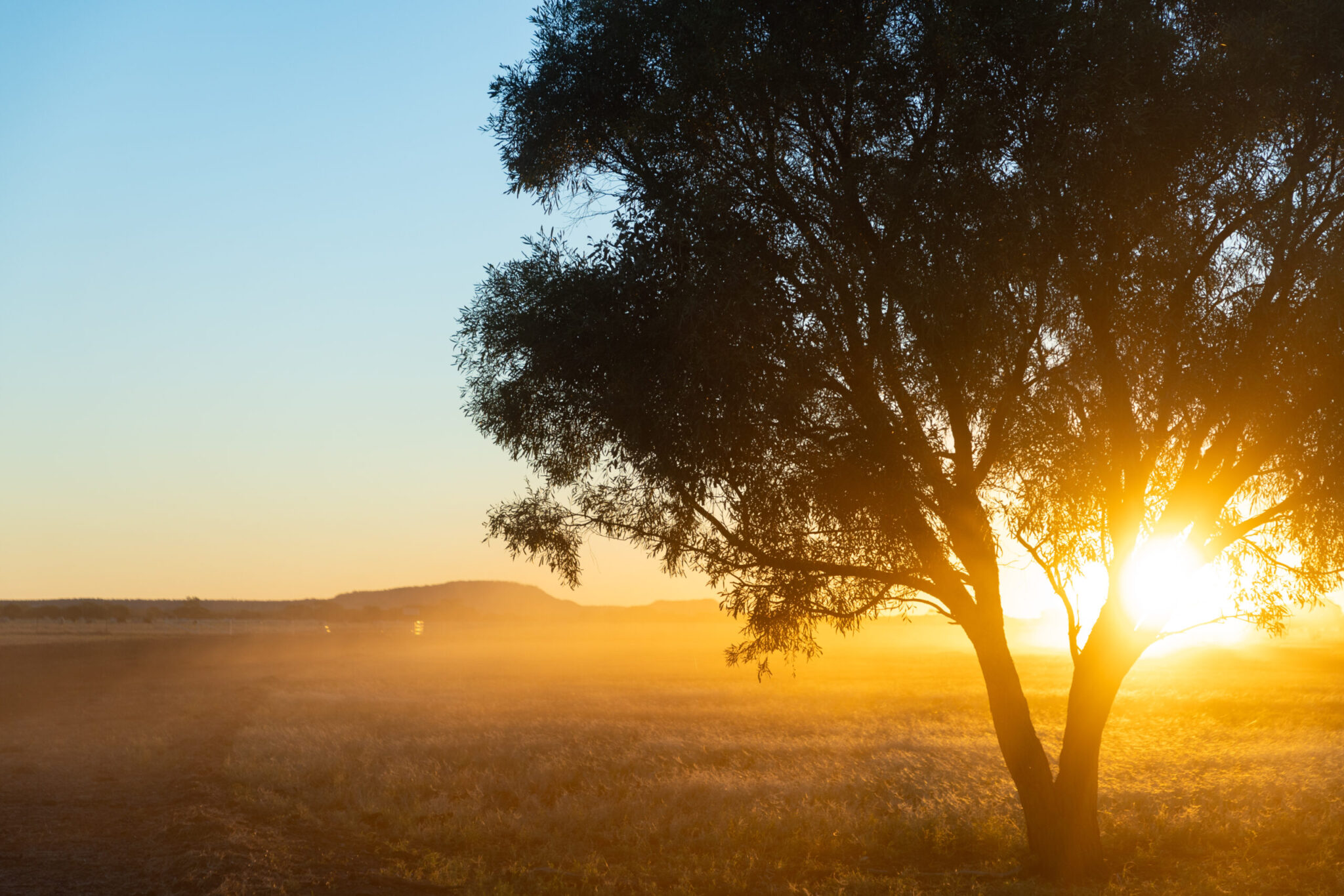 National Parks Association of Queensland – Promoting the preservation ...