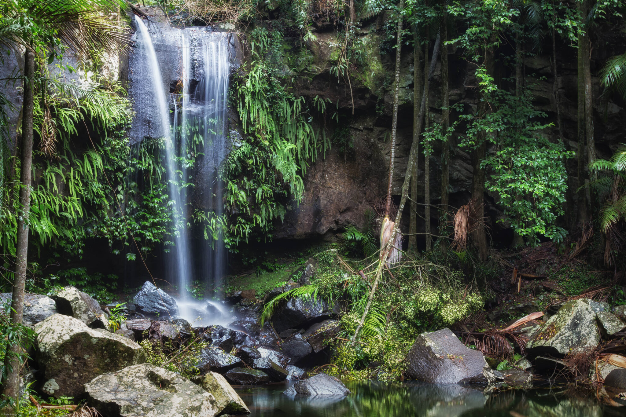 National Parks Association of Queensland – Promoting the preservation ...