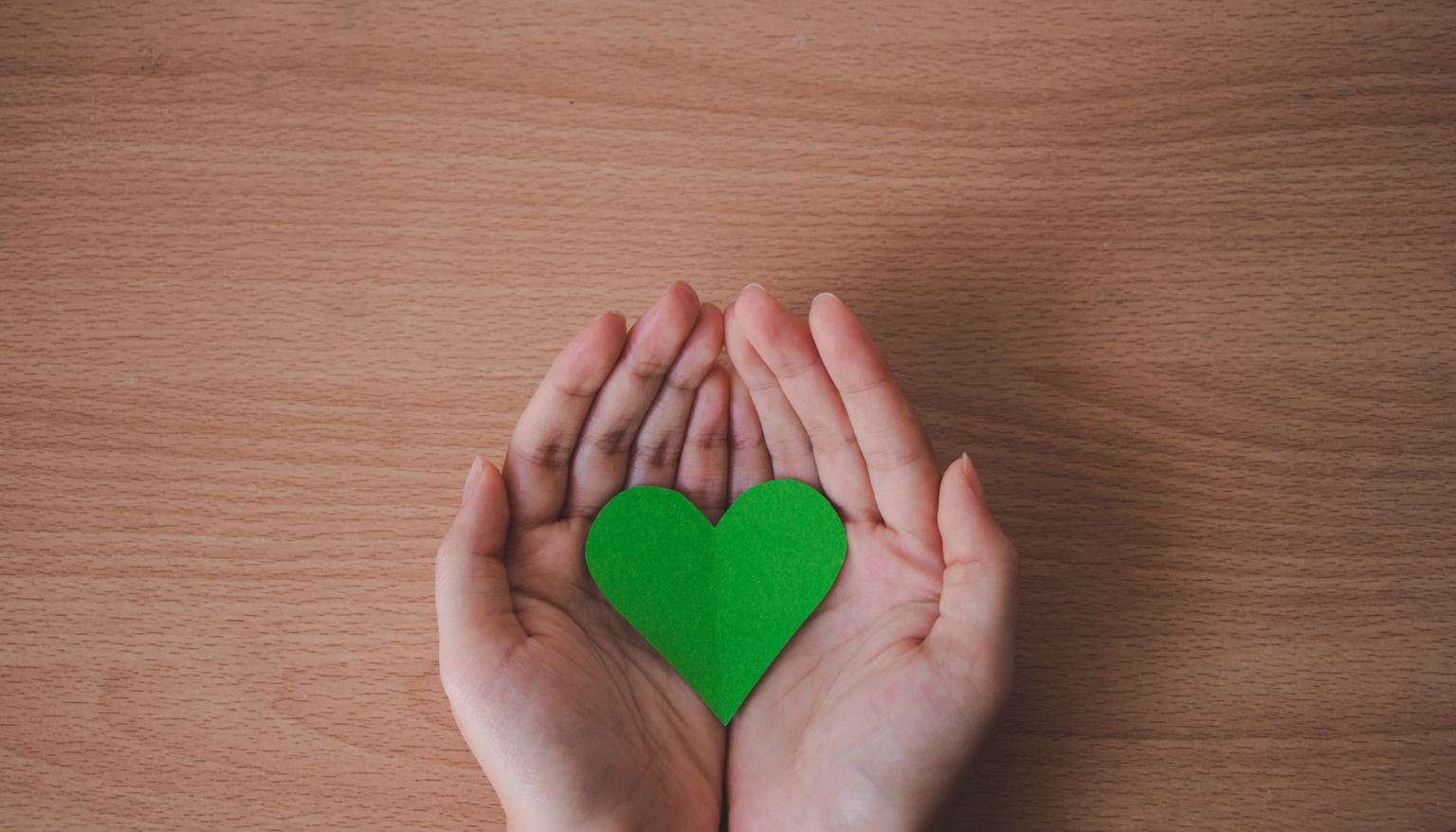 National Parks Association of Queensland – Promoting the preservation ...