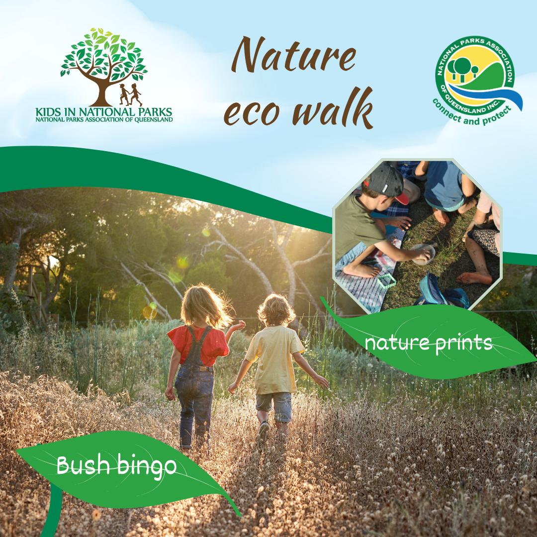 Eco Walk (4) – National Parks Association of Queensland