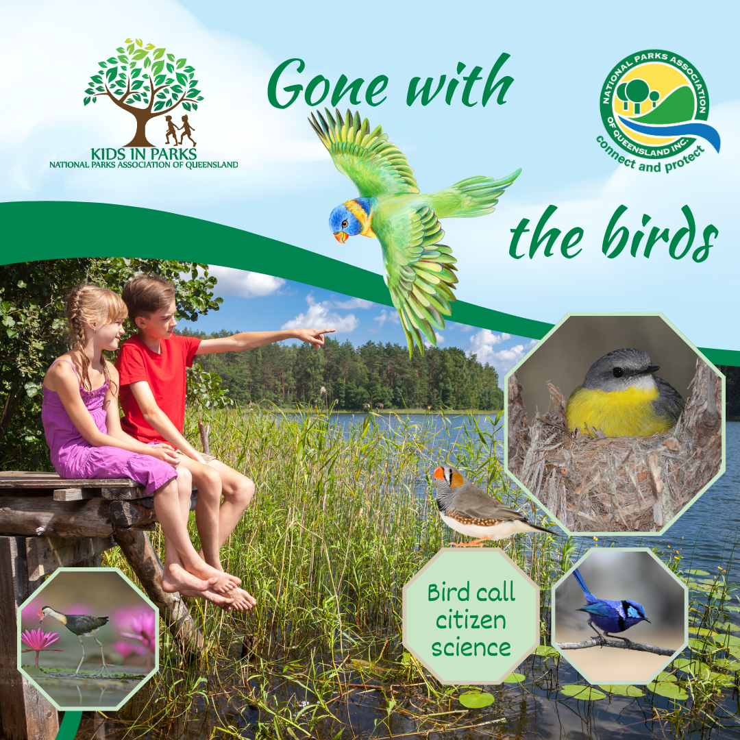 GWTB KiP – National Parks Association of Queensland