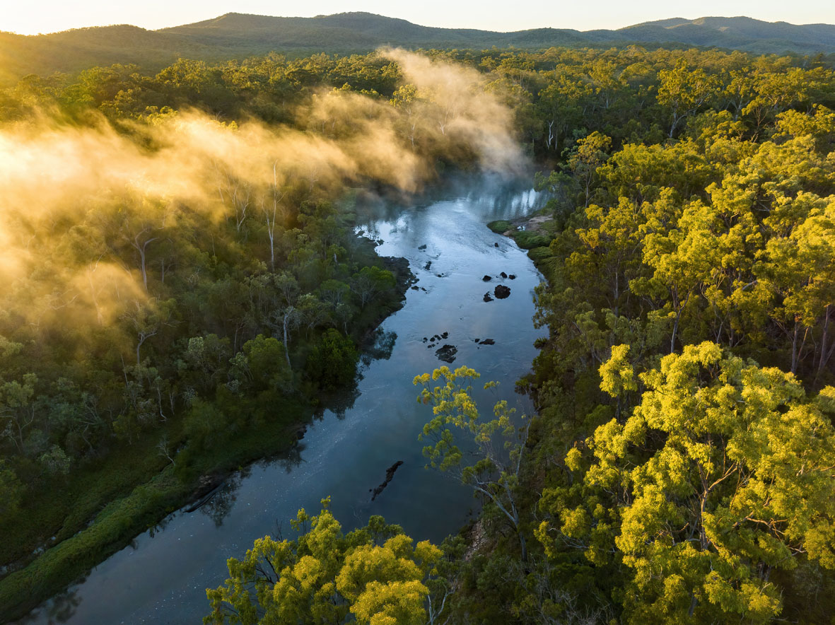 Turkey Station, Eurimbula NP Extension, Agnes Waters, Sth Queensland ...