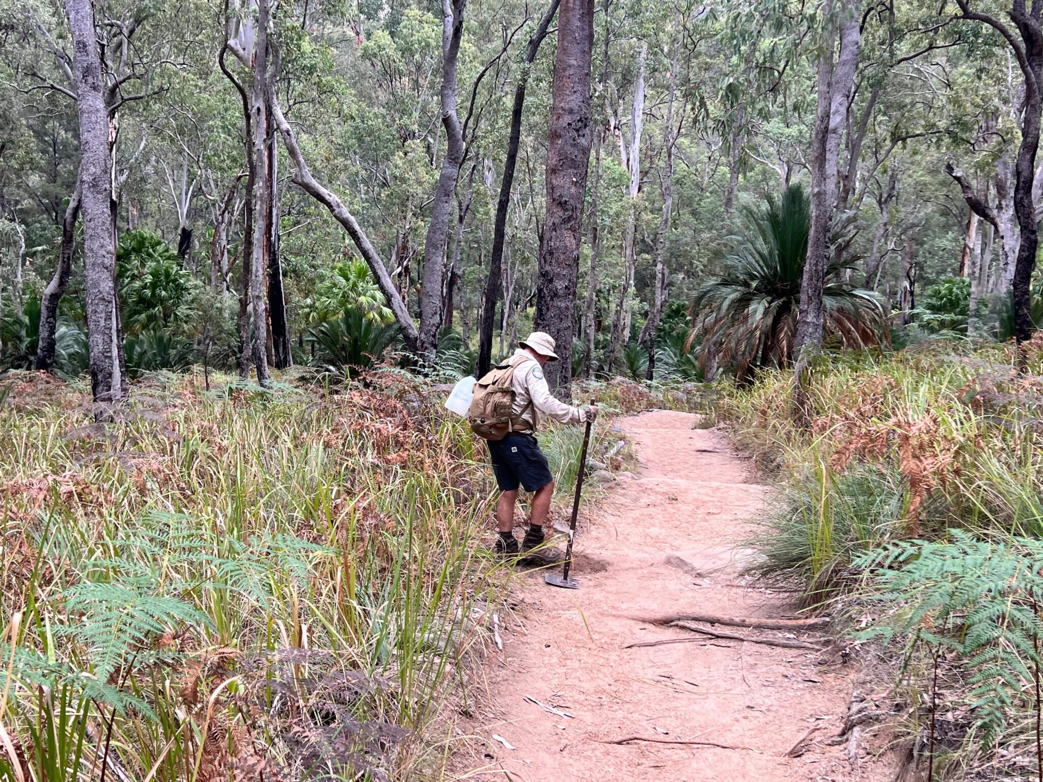 National Parks Association of Queensland – Promoting the preservation ...