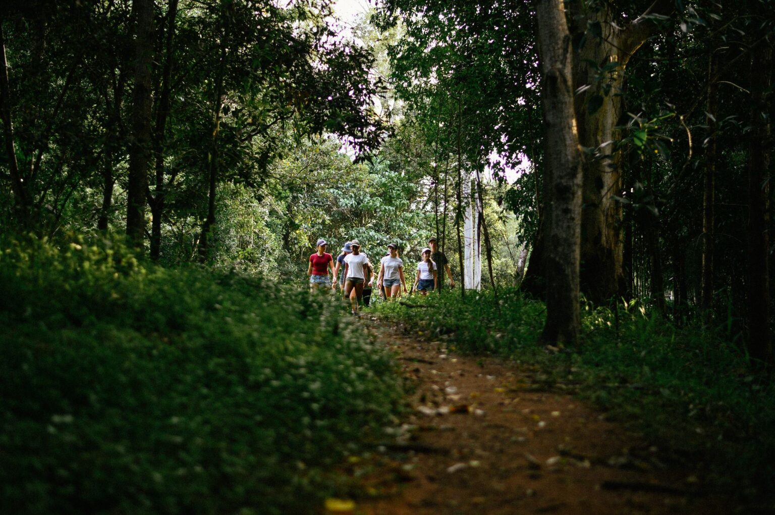 Parks Connect – National Parks Association of Queensland
