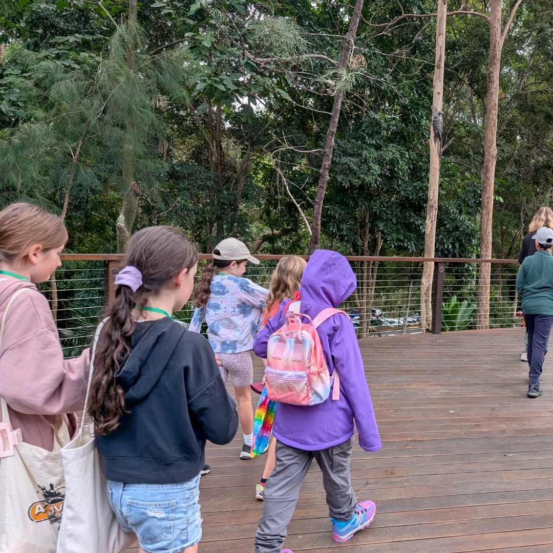 Child Safety Policy – National Parks Association of Queensland